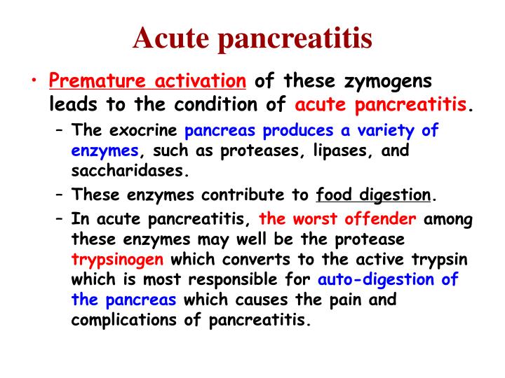 PPT - Lecture 8 Enzyme PowerPoint Presentation - ID:6356615