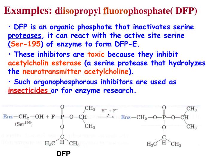 PPT - Lecture 8 Enzyme PowerPoint Presentation - ID:6356615