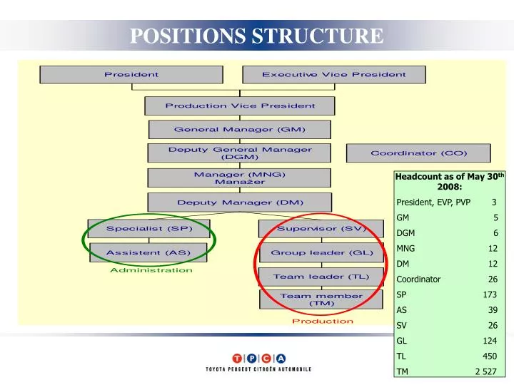 PPT - POSITIONS STRUCTURE PowerPoint Presentation, free download - ID ...