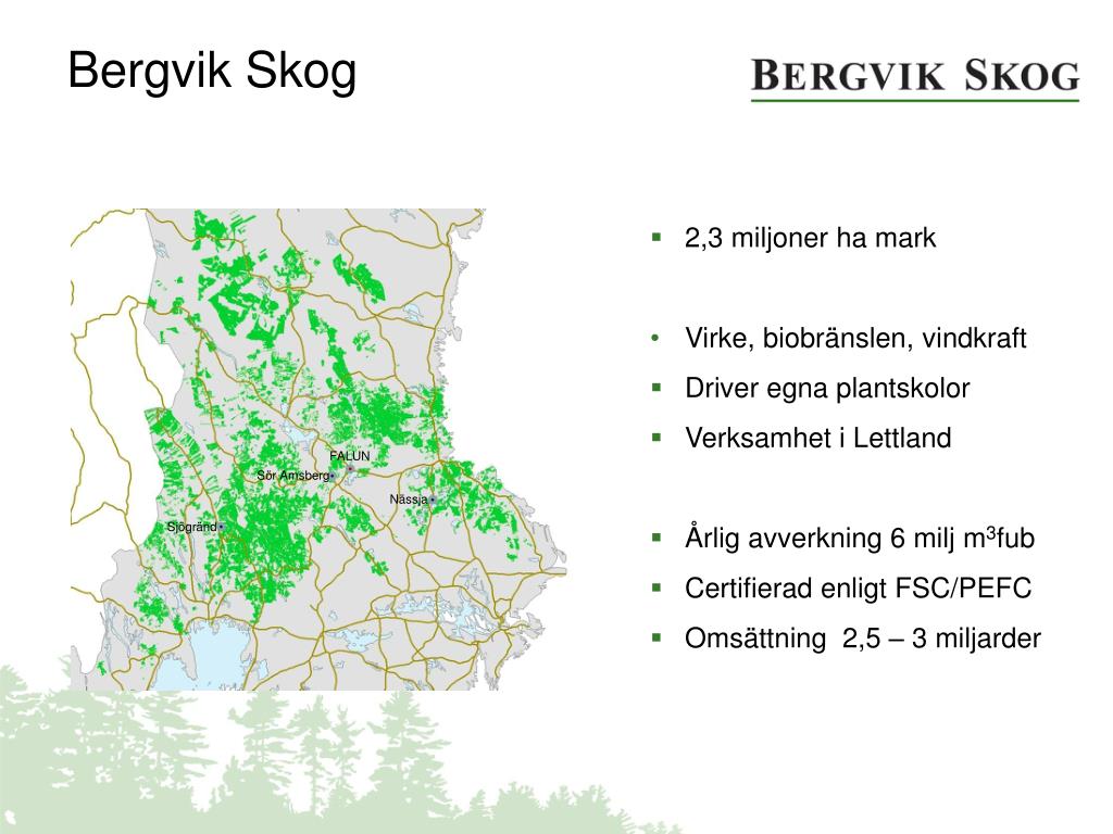 PPT - Bergvik Skog och vindkraft Triple Steelix seminarium i Ockelbo 29 ...