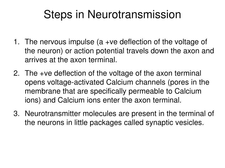 PPT - Brain Anatomy Neurotransmission & Brain Neurotransmitters ...