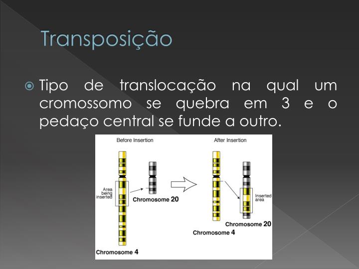 PPT - Doenças Genéticas PowerPoint Presentation - ID:6359673