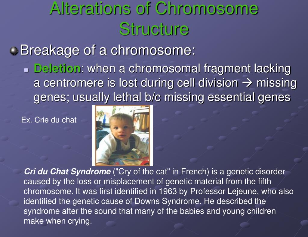 PPT - Meiosis and Sexual Life Cycles PowerPoint Presentation, free ...