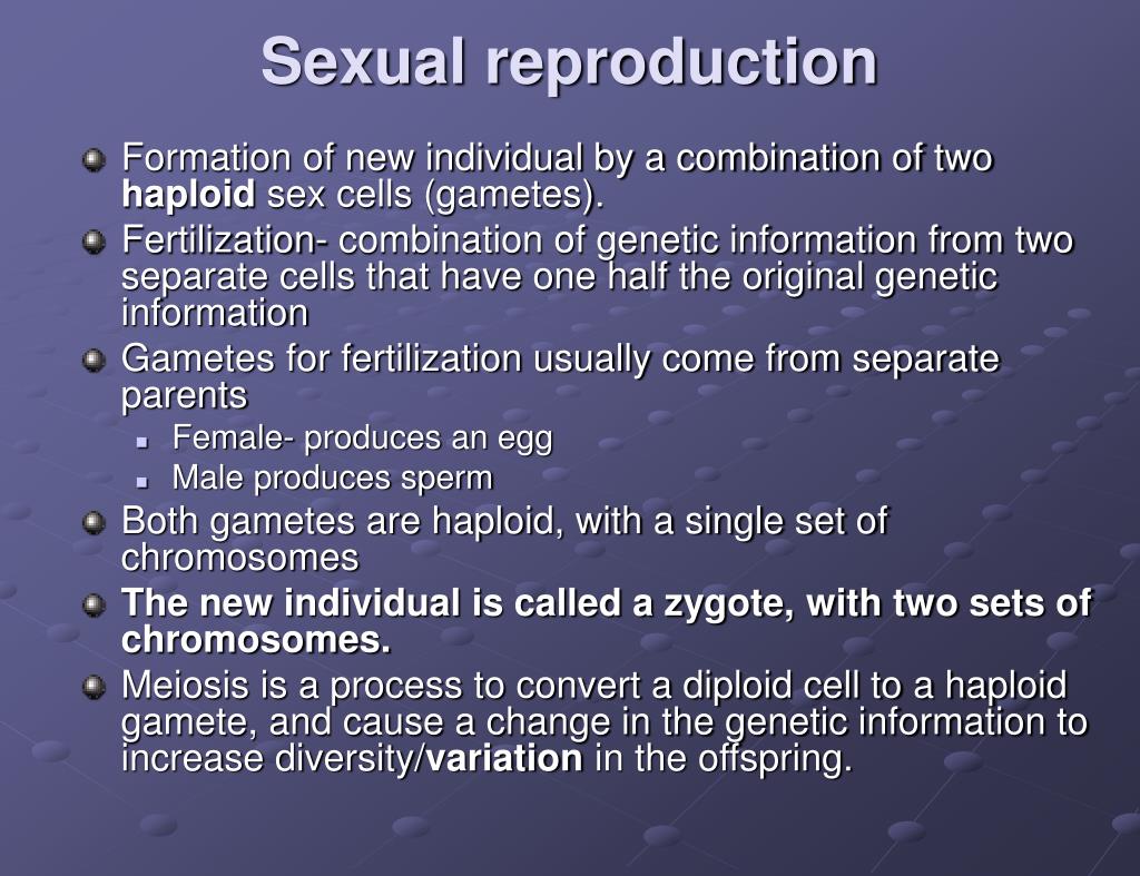 PPT - Meiosis and Sexual Life Cycles PowerPoint Presentation, free ...