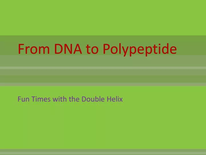PPT - From DNA to Polypeptide PowerPoint Presentation, free download ...