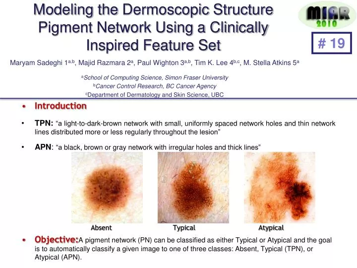 PPT - Modeling the Dermoscopic Structure Pigment Network Using a ...