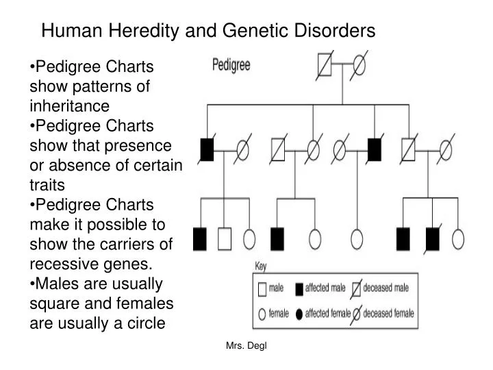 PPT - Human Heredity and Genetic Disorders PowerPoint Presentation ...