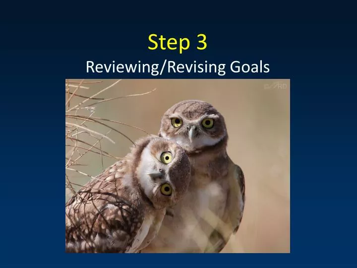 PPT - Step 3 Reviewing/Revising Goals PowerPoint Presentation, free ...