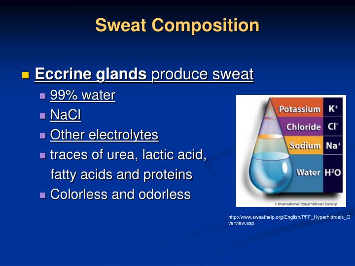 PPT - Homeostasis PowerPoint Presentation - ID:6364550