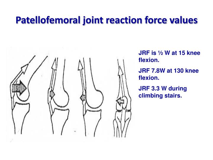 PPT - Regional Biomechanics knee Joint PowerPoint Presentation - ID:6364710