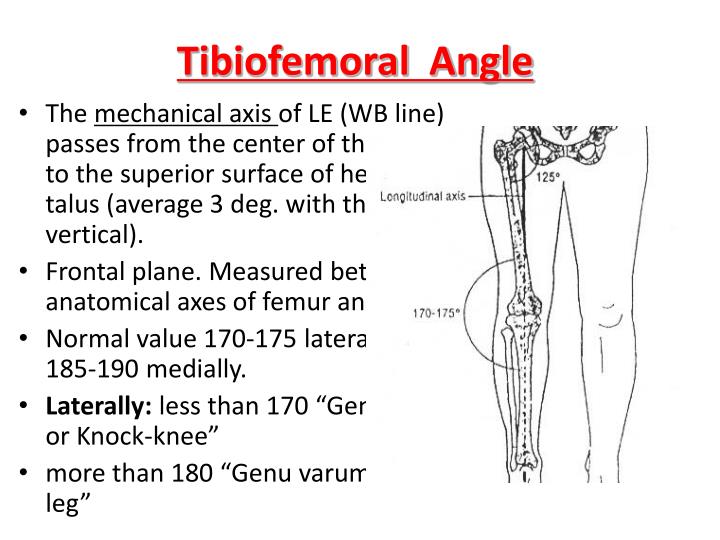 PPT - Regional Biomechanics knee Joint PowerPoint Presentation - ID:6364710