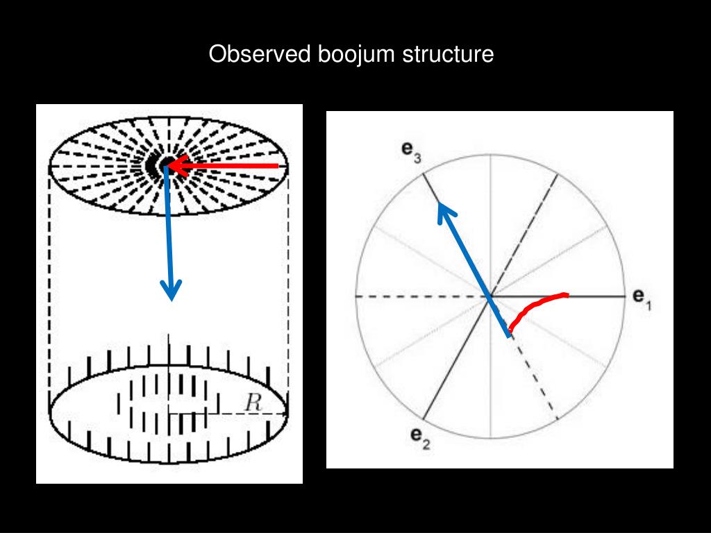 PPT - Samo Kralj 1,2 , Riccardo Rosso 3 , Epifanio G. Virga 3 ...