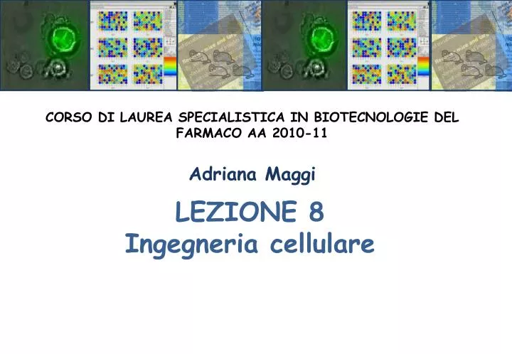 PPT - LEZIONE 8 Ingegneria cellulare PowerPoint Presentation, free ...