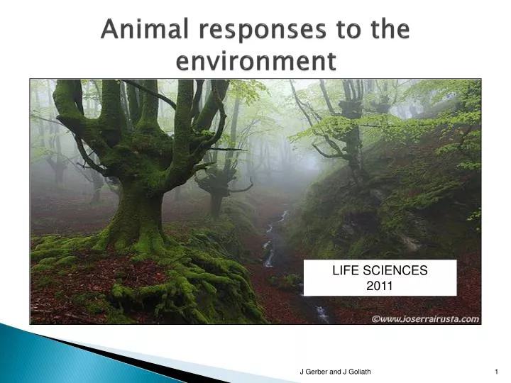 PPT - Animal responses to the environment PowerPoint Presentation, free ...