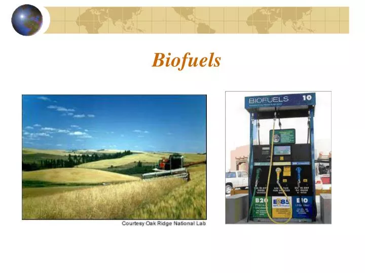 PPT - Biofuels PowerPoint Presentation, free download - ID:6367115