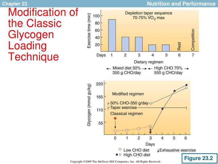 PPT - Nutrition, Body Composition, and Performance PowerPoint ...