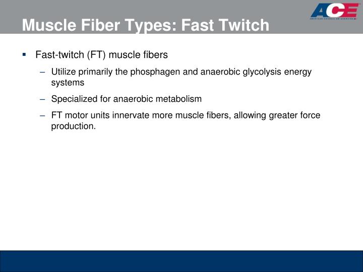 PPT - ACE’s Essentials of Exercise Science for Fitness Professionals ...