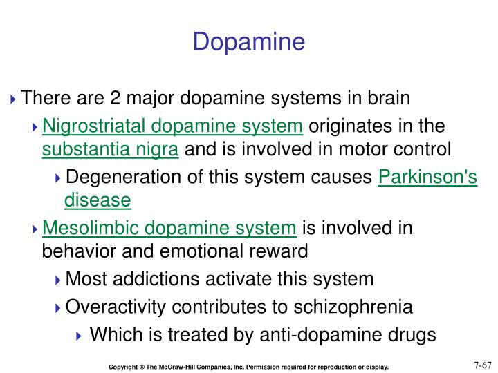 PPT - Chapter 7 PowerPoint Presentation - ID:6368472