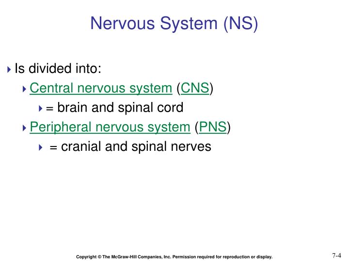 PPT - Chapter 7 PowerPoint Presentation - ID:6368472