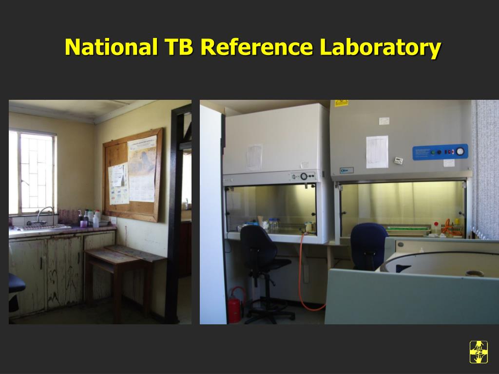 PPT - Dr Hind Satti Partners In Health Lesotho PowerPoint Presentation ...