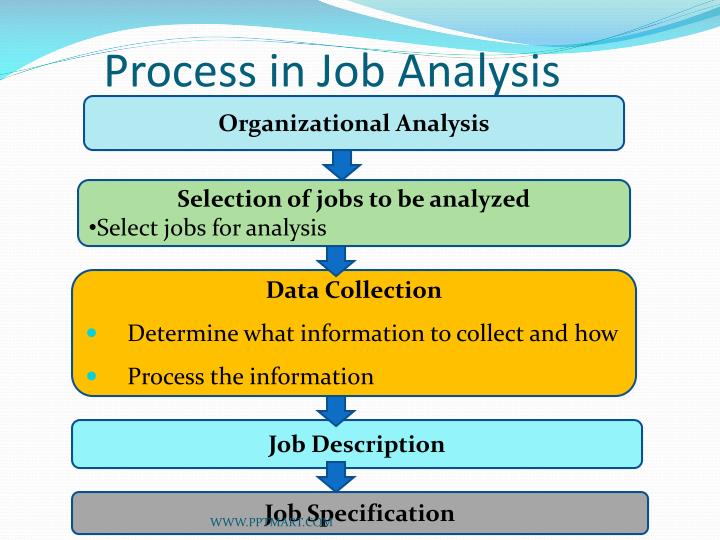 PPT - JOB ANALYSIS PowerPoint Presentation - ID:6370371