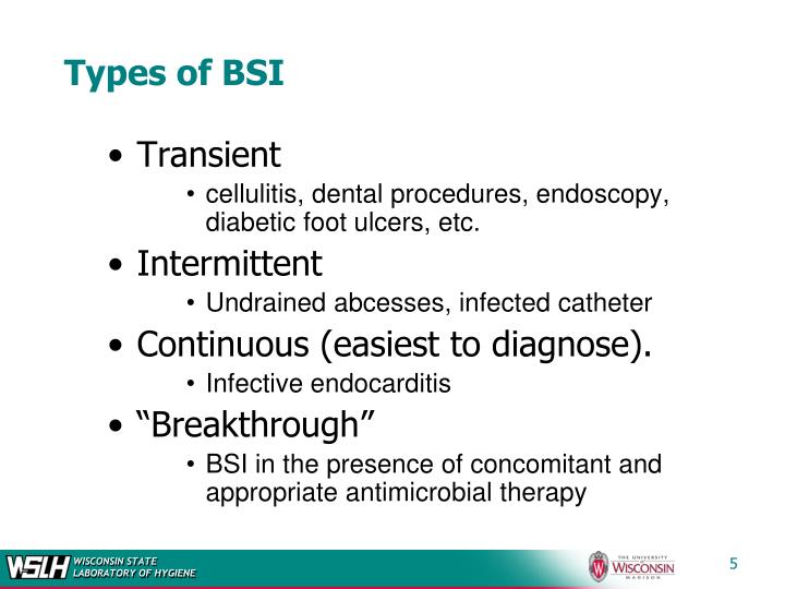 PPT - Culture of Blood, CSF, and Other Sterile Body Fluids PowerPoint ...