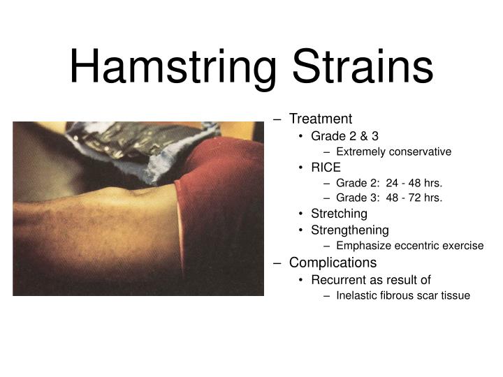 PPT - The Thigh and Hip Muscles Anatomy, Injuries and Assessment ...