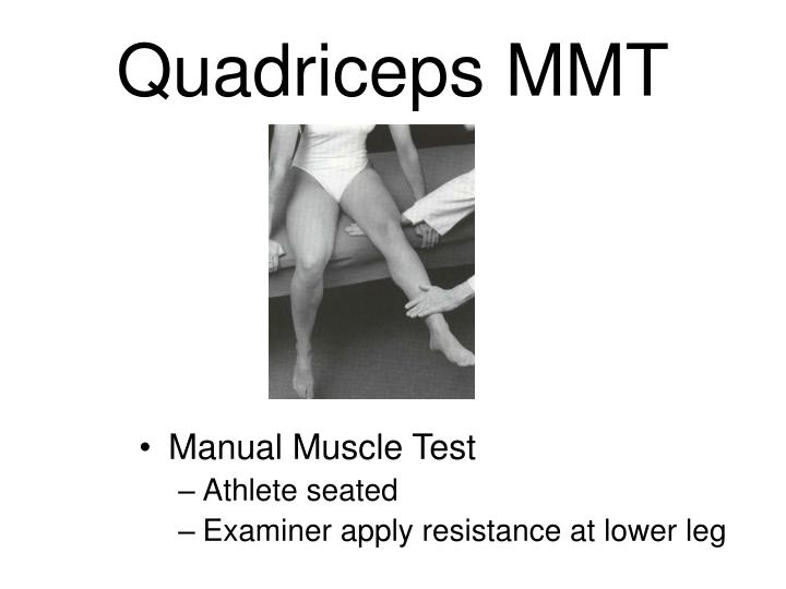 PPT - The Thigh and Hip Muscles Anatomy, Injuries and Assessment ...