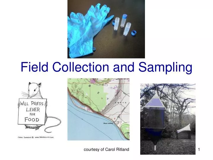 PPT - Field Collection and Sampling PowerPoint Presentation, free ...