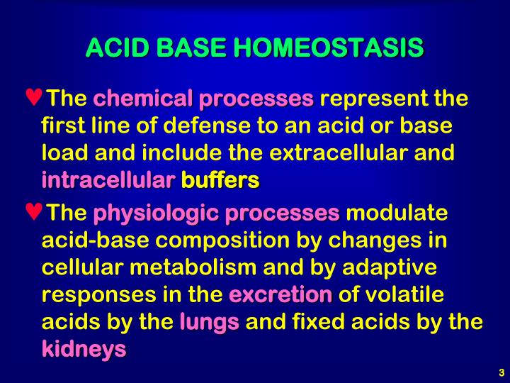 PPT - ADVANCED PHYSIOLOGY ACID BASE BALANCE PowerPoint Presentation ...