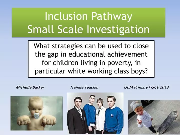 PPT - Inclusion Pathway Small Scale Investigation PowerPoint ...