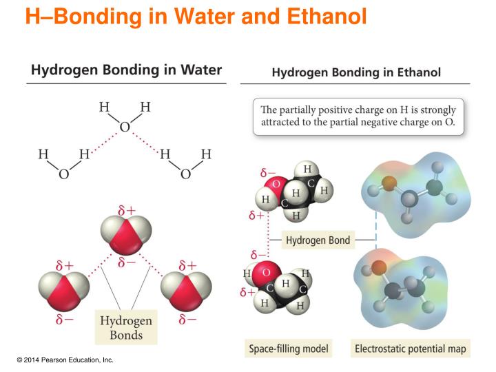 PPT - Chapter 11 Liquids, Solids, and Intermolecular Forces PowerPoint ...