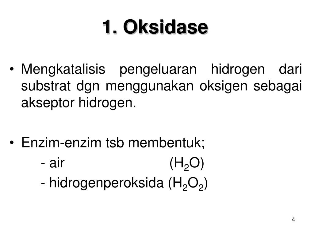 PPT - BIOLOGI OKSIDASI & RESPIRASI SEL PowerPoint Presentation - ID:6377082