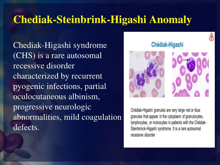 PPT - WBCs & PLT Abnormal Morphology PowerPoint Presentation - ID:6378150