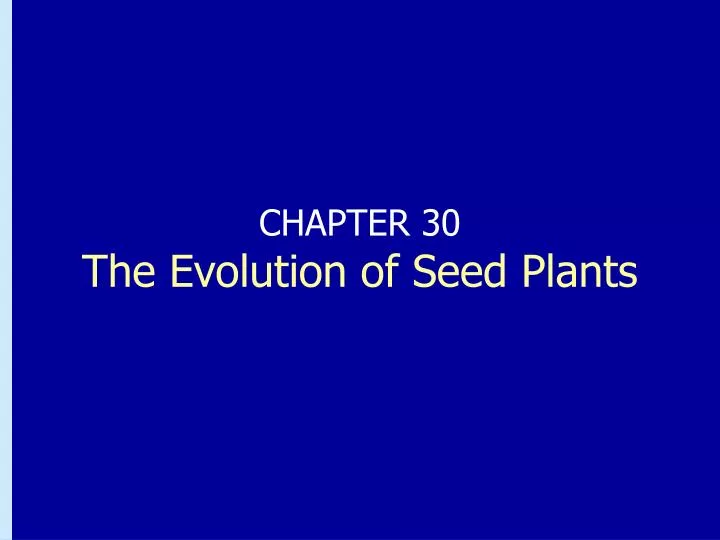 PPT - CHAPTER 30 The Evolution of Seed Plants PowerPoint Presentation ...