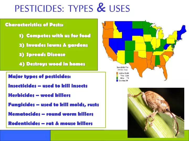 PPT - PESTICIDES: TYPES & USES PowerPoint Presentation, free download ...