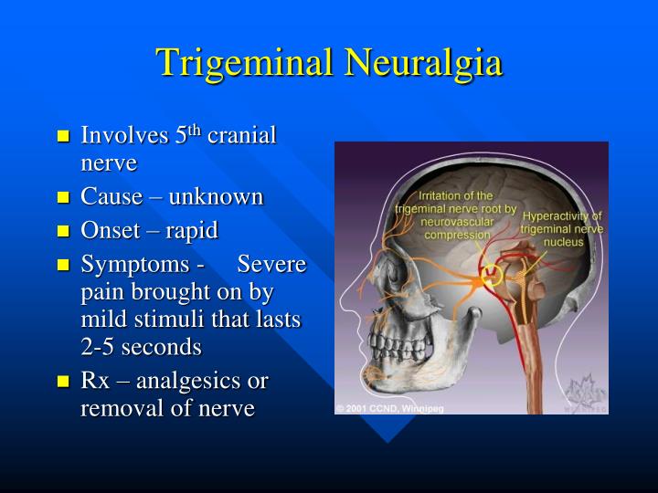 PPT - Cerebral Palsy PowerPoint Presentation - ID:6380145