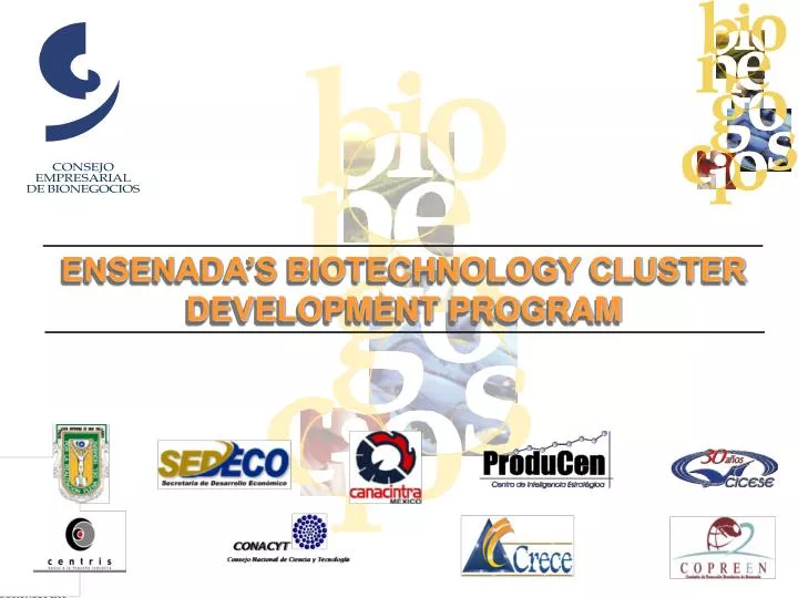 PPT - ENSENADA’S BIOTECHNOLOGY CLUSTER DEVELOPMENT PROGRAM PowerPoint ...