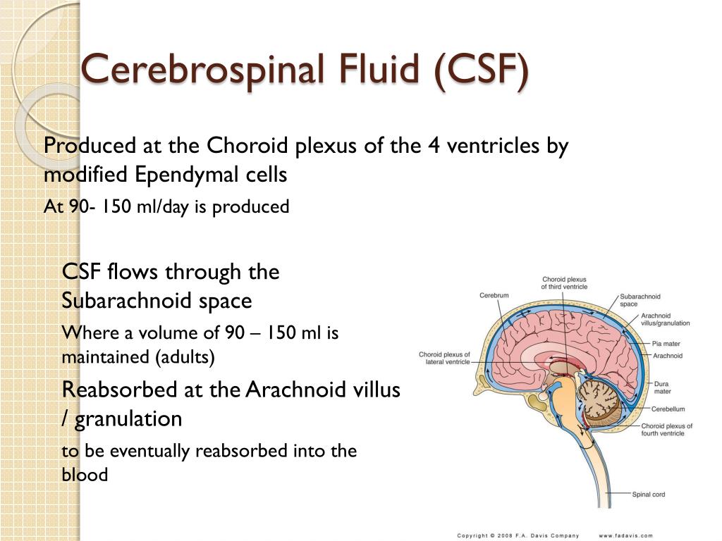 Cerebrospinal Fluid Csf Analysis Cerebrospinal Fluid Spinal Fluid | My ... Cerebrospinal Fluid Csf Analysis Cerebrospinal Fluid Spinal Fluid | My ...
