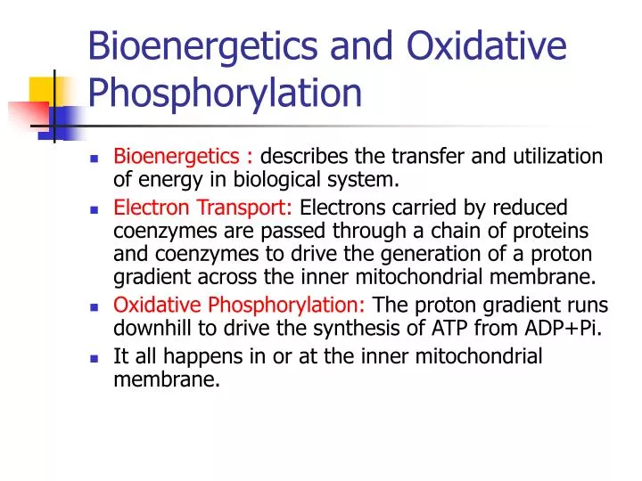 PPT - Bioenergetics and Oxidative Phosphorylation PowerPoint ...