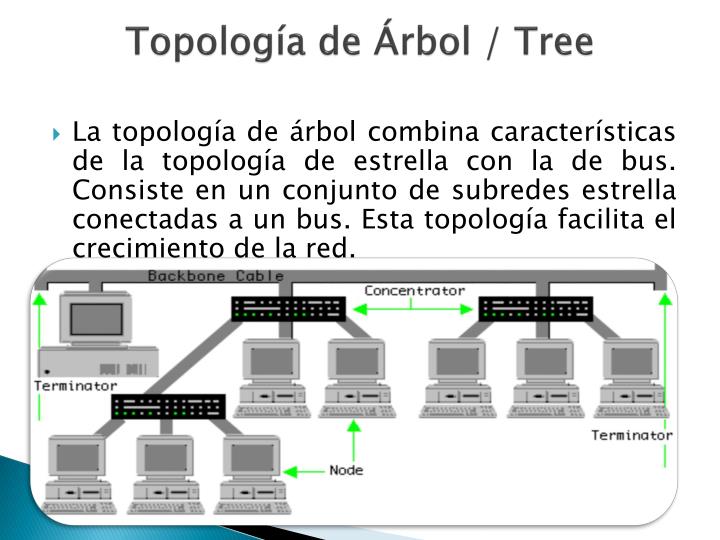 PPT - Topologias de Red PowerPoint Presentation - ID:6380673
