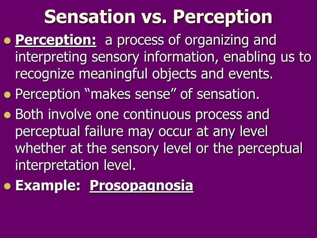 PPT - Sensation vs. Perception PowerPoint Presentation, free download ... PPT - Sensation vs. Perception PowerPoint Presentation, free download ...