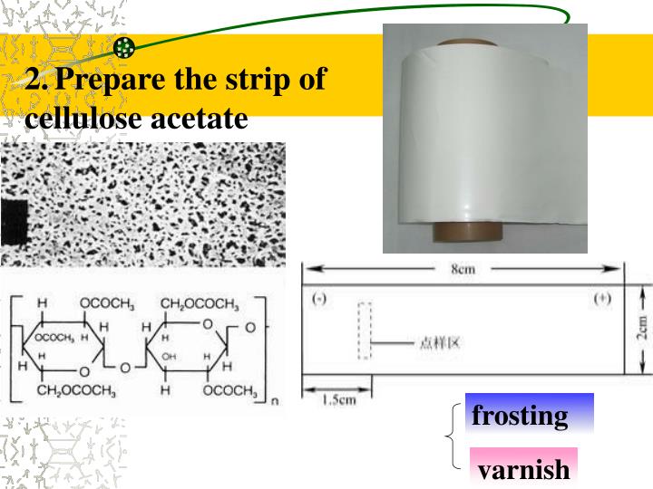 PPT - Cellulose Acetate Membrane Electrophoresis PowerPoint ...
