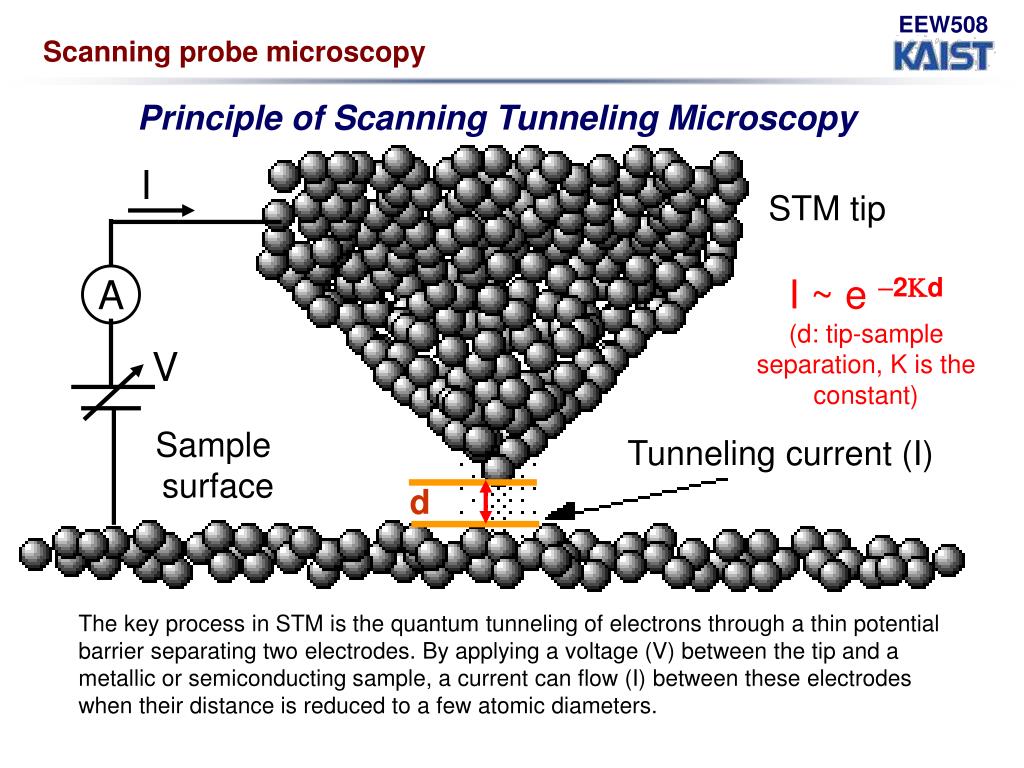 PPT - Scanning Tunneling Microscopy and Atomic Force Microscopy ... PPT - Scanning Tunneling Microscopy and Atomic Force Microscopy ...