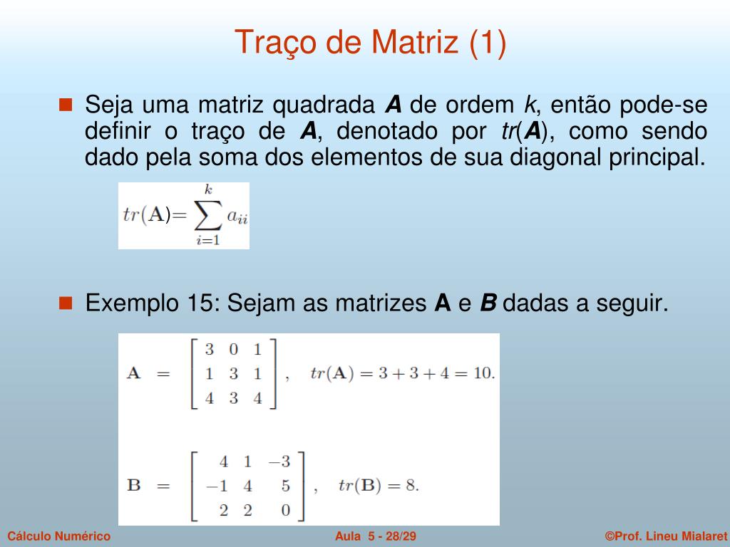 PPT - Cálculo Numérico – CN Prof. Lineu Mialaret Aula 5: Matrizes (2 ...