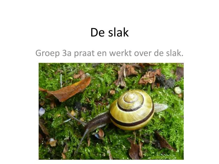 PPT - De slak PowerPoint Presentation, free download - ID:6383958
