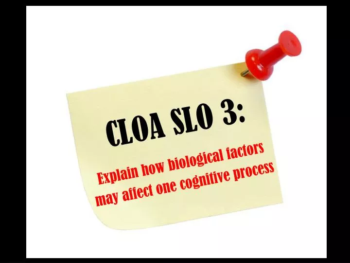 PPT - CLOA SLO 3: PowerPoint Presentation, free download - ID:6384971
