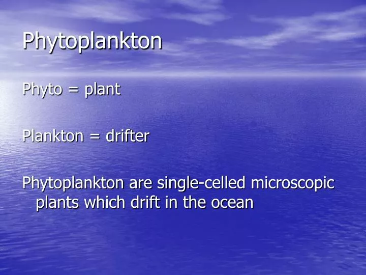 PPT - Phytoplankton PowerPoint Presentation, free download - ID:6385485