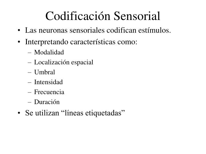 PPT - NEUROFISIOLOGÍA PowerPoint Presentation - ID:6385506