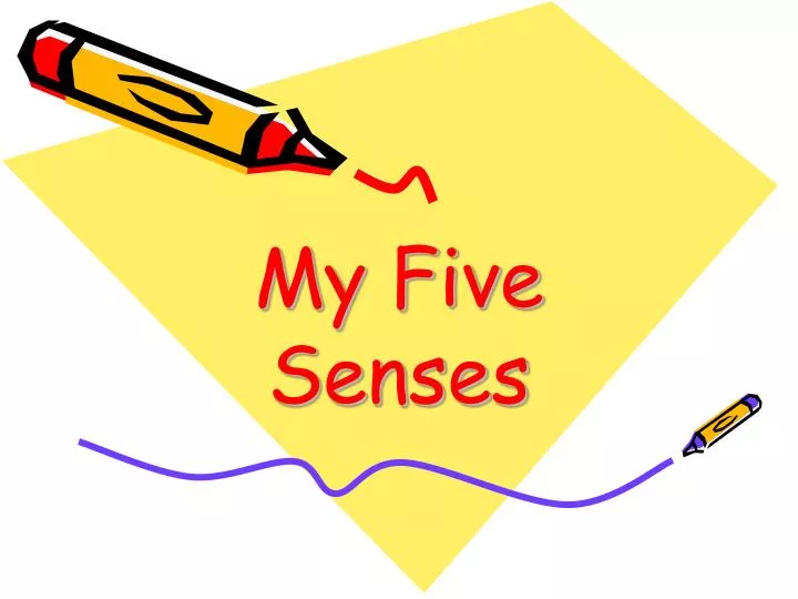 PPT - My Five Senses PowerPoint Presentation, free download - ID:6385774